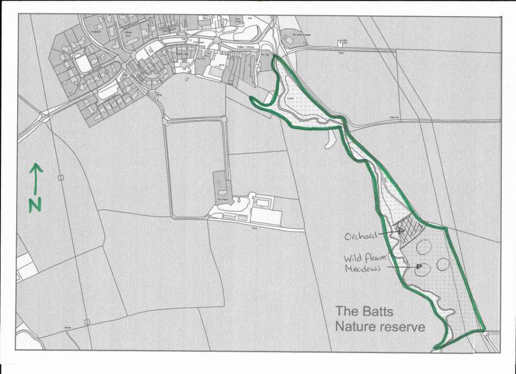 Dalton Piercy Parish Council: The Batts